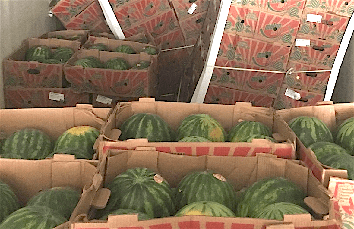 Perishables | Benedict Company